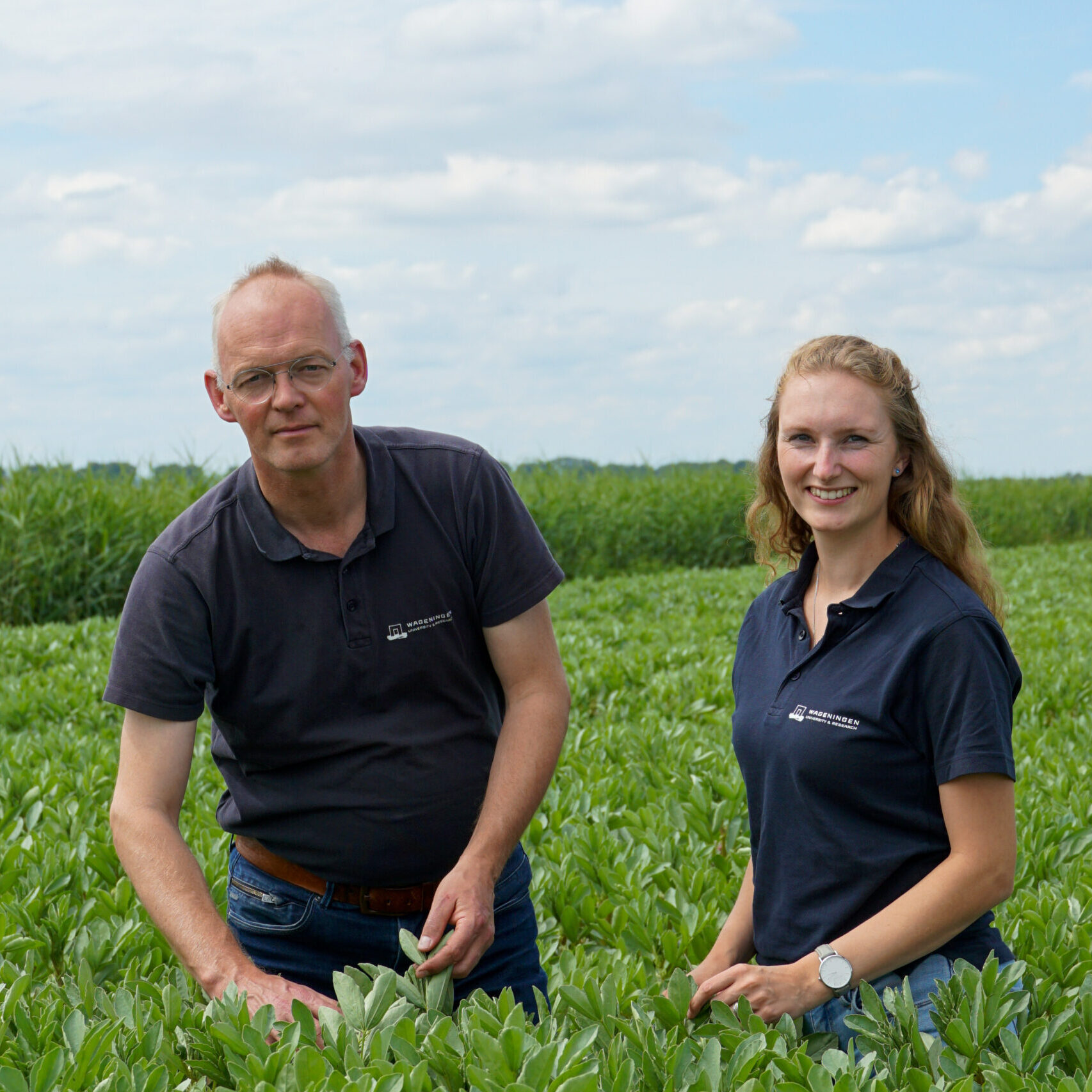 Veldboon: kansen en uitdagingen – Fascinating